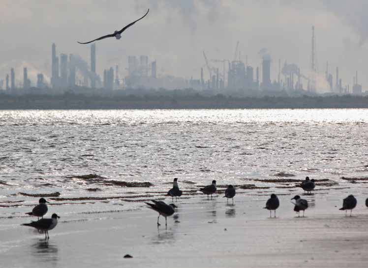 Federal judge hits Exxon—again—with record-setting penalty - National ...