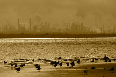 Exxon still trying to evade $14.25 million penalty - National ...