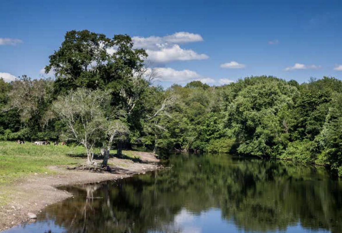 Clean Water Act settlement imposes enforceable compliance schedule ...